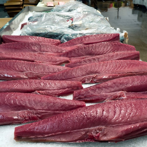 Photos at New Fulton Fish Market - 5 tips