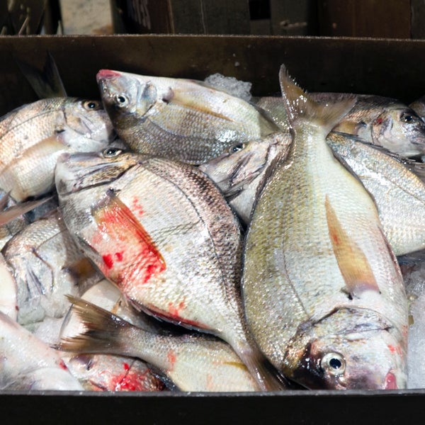Photos at New Fulton Fish Market - 5 tips