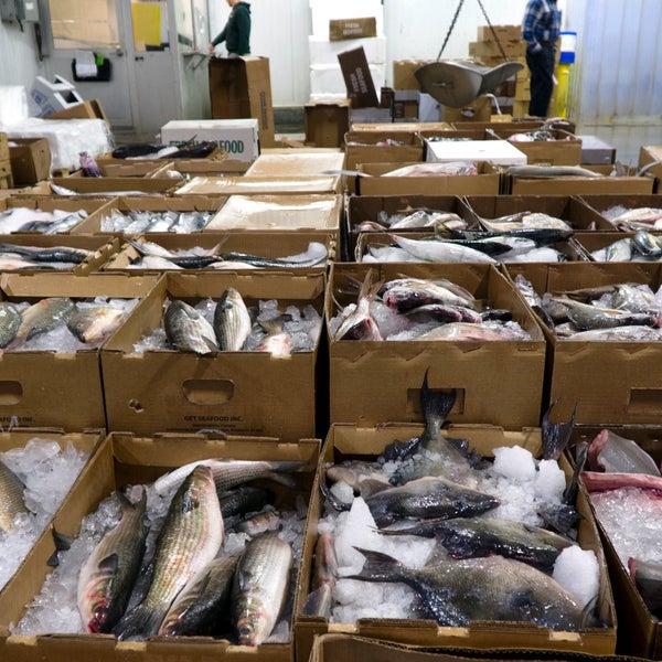 Photos at New Fulton Fish Market - 5 tips