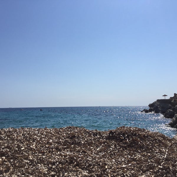 Cala Blanca / Es Castellot - Beach