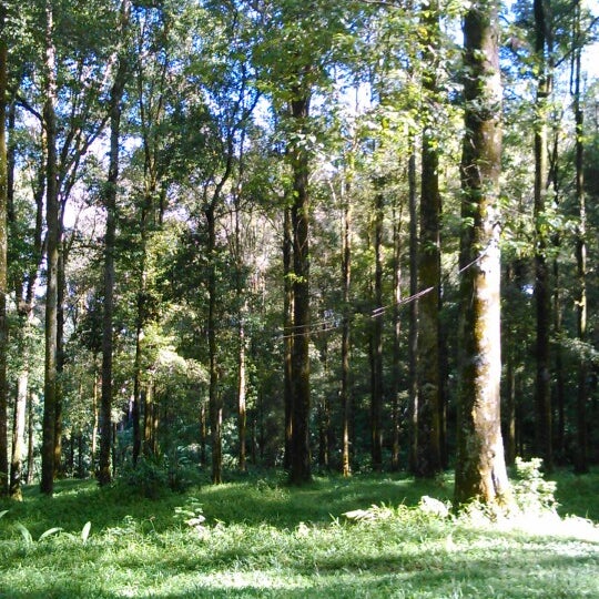 taman nasional gunung halimun salak