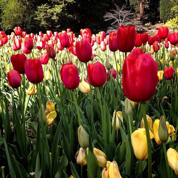 Araluen Botanic Garden - Other Great Outdoors in Roleystone