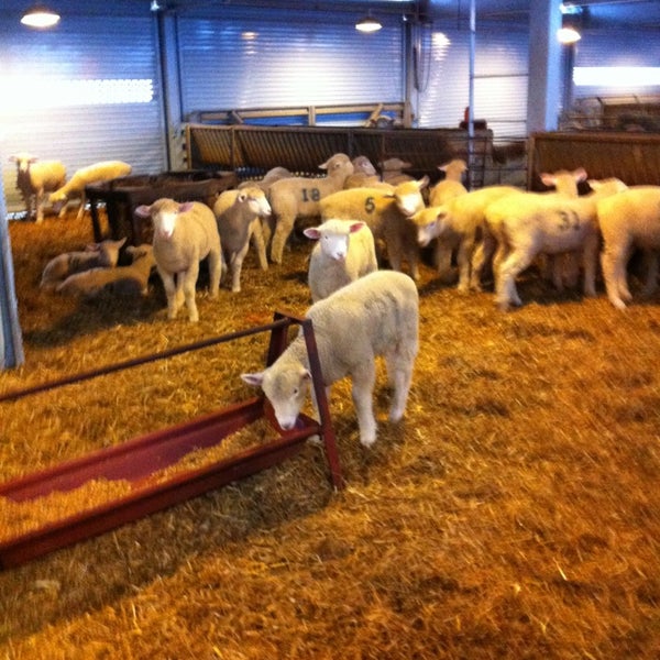 Photos at Penn State Beef and Sheep Center - Penn State University