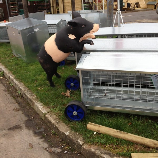 Mole Valley Farmers - Honiton Road