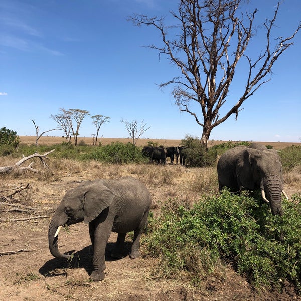 Serengeti National Park