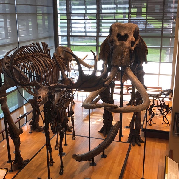 Photos at Beneski Museum of Natural History - 11 Barrett Hill Rd
