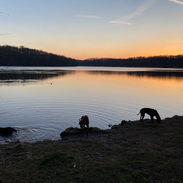 Waldsee im Bärler Busch - Lake in Moers
