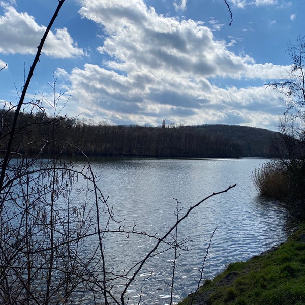 Waldsee im Bärler Busch - Lake in Moers
