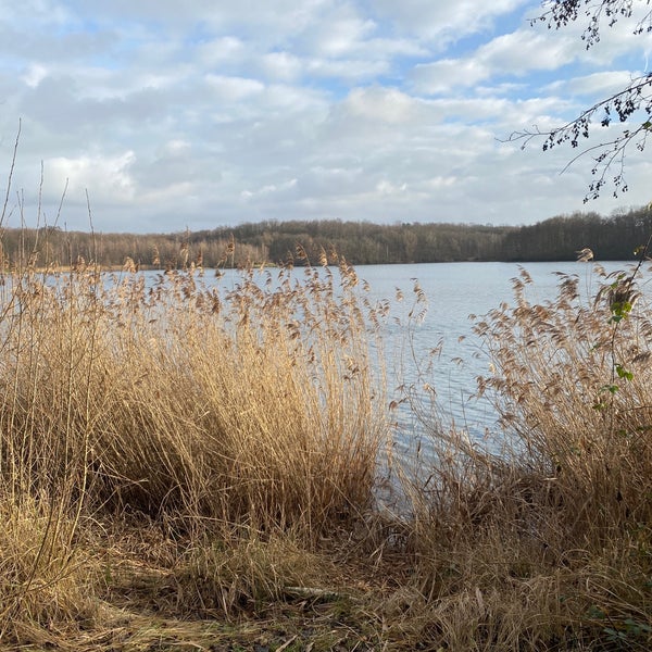 Waldsee im Bärler Busch - Lake in Moers