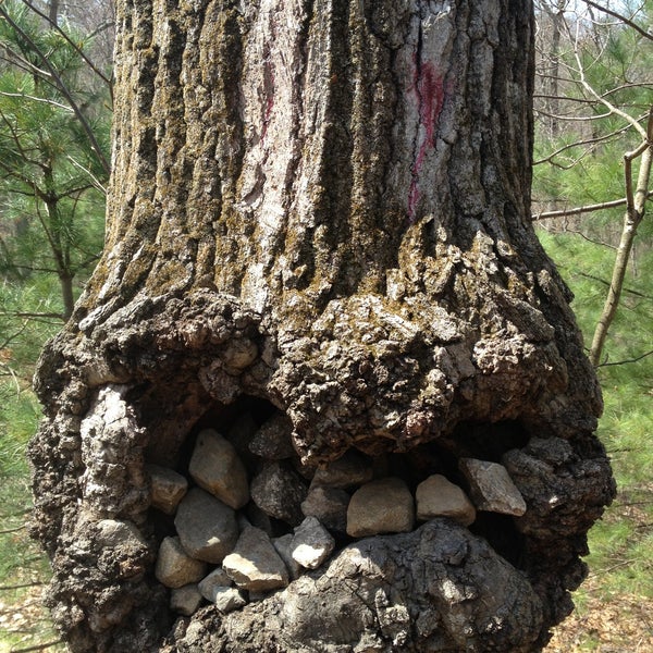 Breakheart Reservation - Park