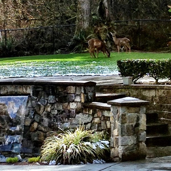 The Nooner - Crossroads - 13804 NE 20th St