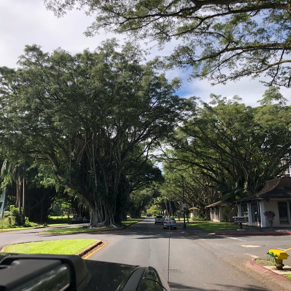 Banyan Drive - Hilo, HI