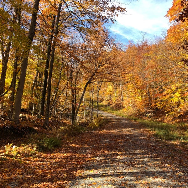 Mont Orford - 9 tips from 545 visitors