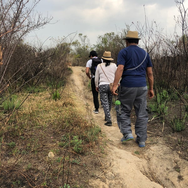 Parque Tarango (Reserva ecológica) - 1 tip from 4 visitors