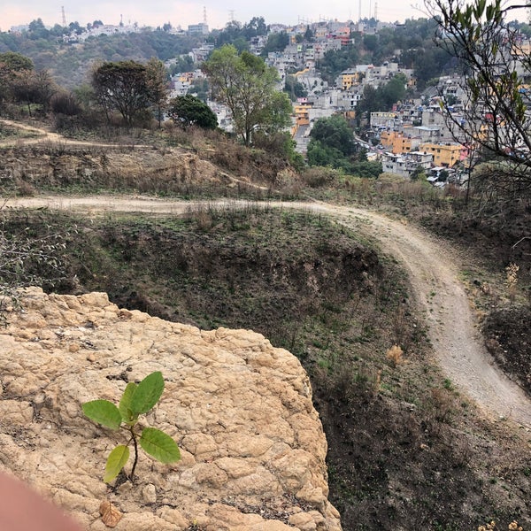 Parque Tarango (Reserva ecológica) - 1 tip from 4 visitors