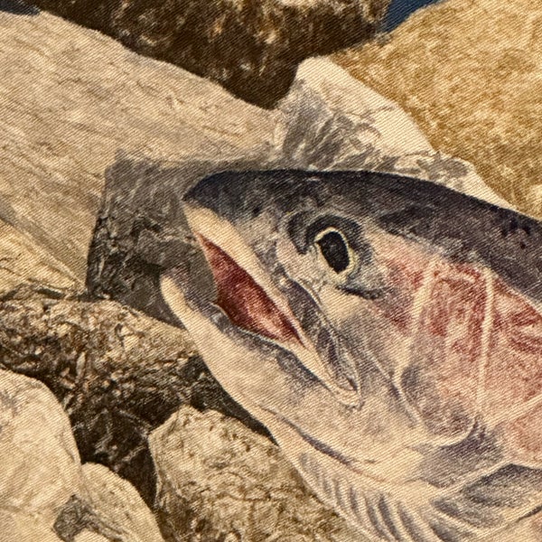 Anderson Collection - Art Museum