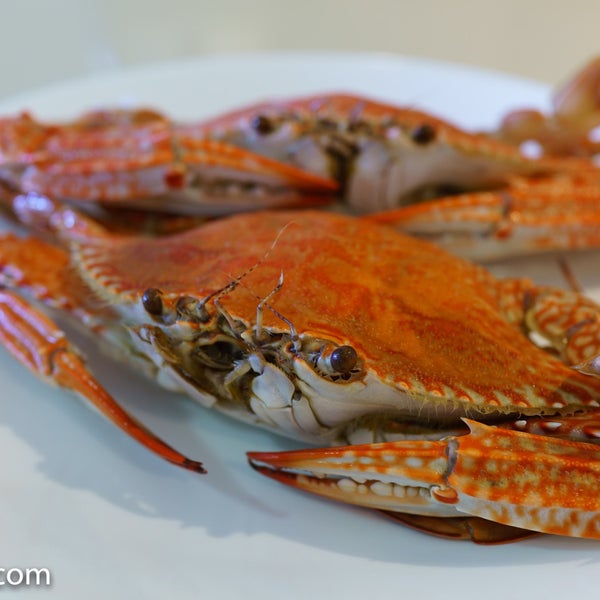 Morgans Seafood - Market - Fish Market