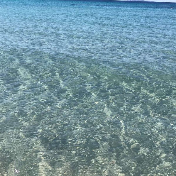 Παραλία Σαρωνίδας (Saronida Beach) - 15 tips