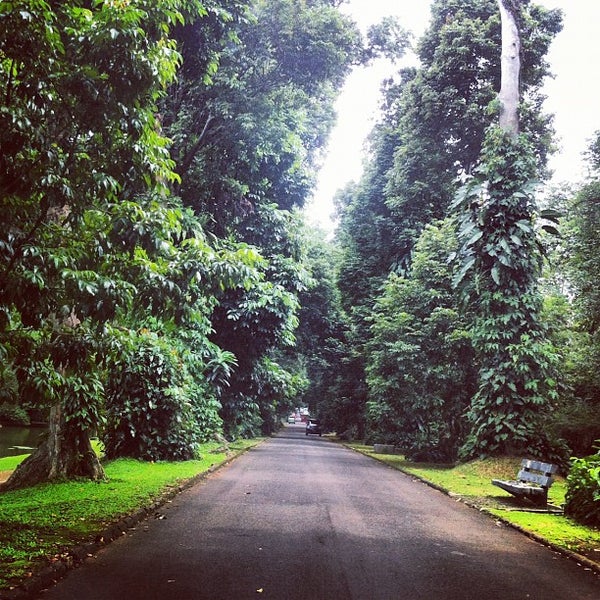 Kebun Raya Bogor - 183 tips from 18360 visitors
