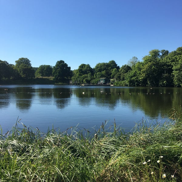 Highgate Men's Bathing Pond - Millfield Ln
