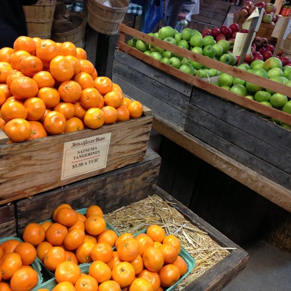 Avila Valley Barn - Farm