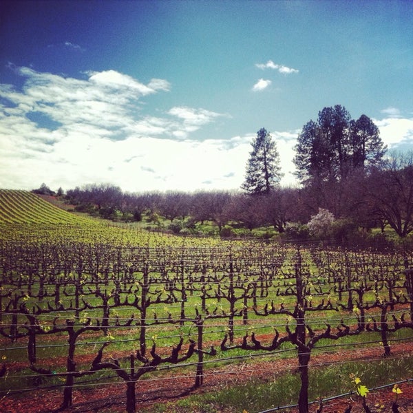 Gregory Graham Wines - Winery in Lower Lake