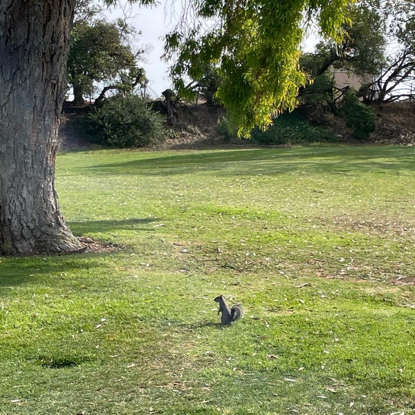 Poplar Creek Golf Course - Shoreview - 1700 Coyote Point Dr