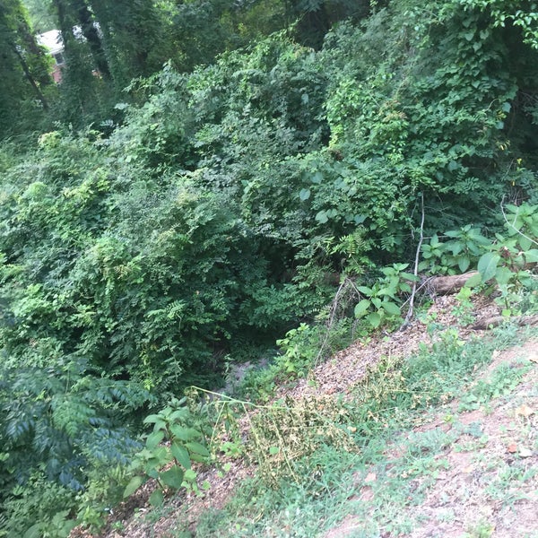 UGA Intramural Fields - 5 tips from 937 visitors