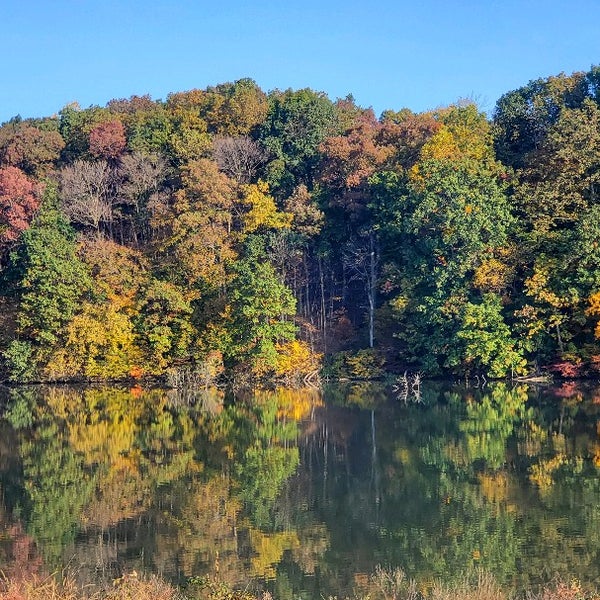 Speedwell Lake - Lititz, PA