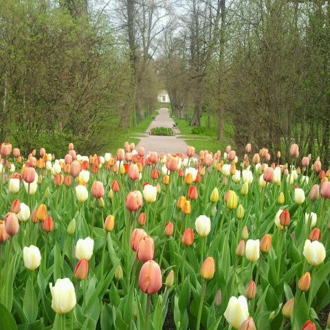Herttoniemen kartanonpuisto - Park in Helsinki