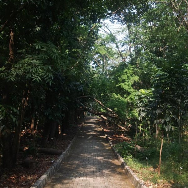 Photos at Taman Hutan Kota Srengseng - Park in Kebon Jeruk