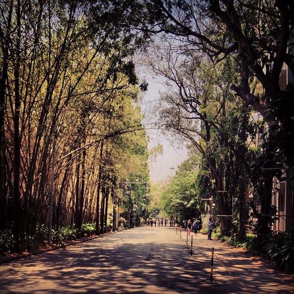 Christ University - University