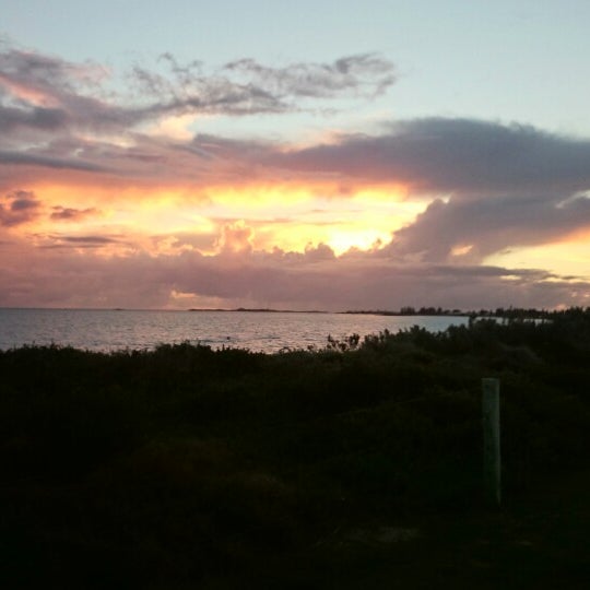 Waikiki Foreshore - Beach