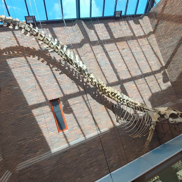 Tullie House Museum & Art Gallery - Carlisle, Cumbria