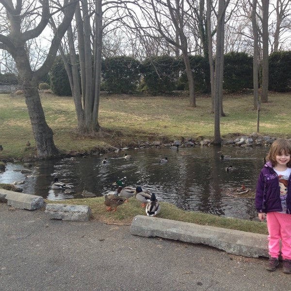 Photos at Jim Barnett Park - 11 tips