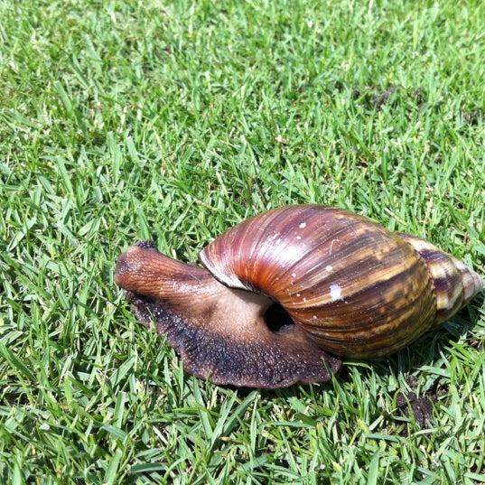 Marina Bay Golf Course - Central Region - 80 Rhu Cross #01-01