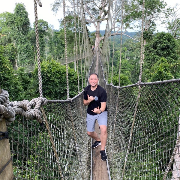 Kakum National Park Canopy Walk - 5 tips from 134 visitors