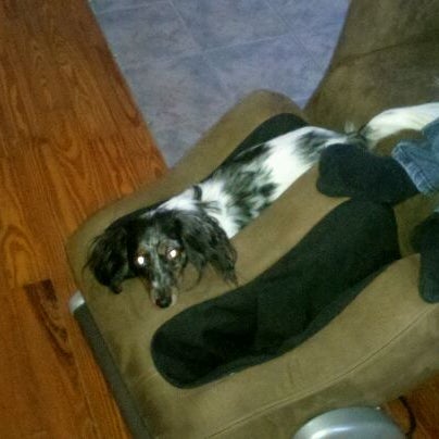 Photos at Gordon Palmer Hall - College Academic Building in Tuscaloosa