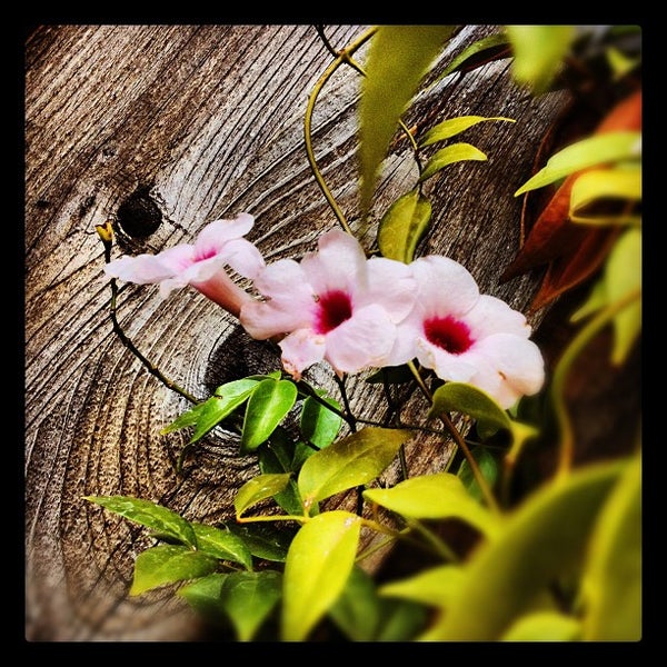 Citrusbyte - 16467 Otsego St