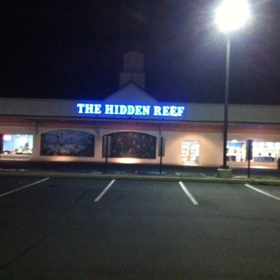 The Hidden Reef - Structure in Levittown