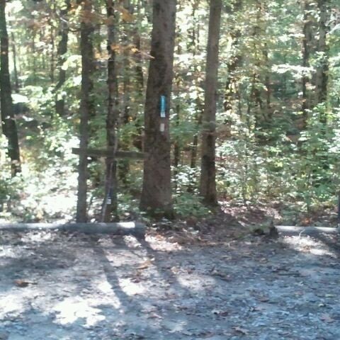 Cumberland Trail Head @ Prentice Cooper WMA - Hiking Trail