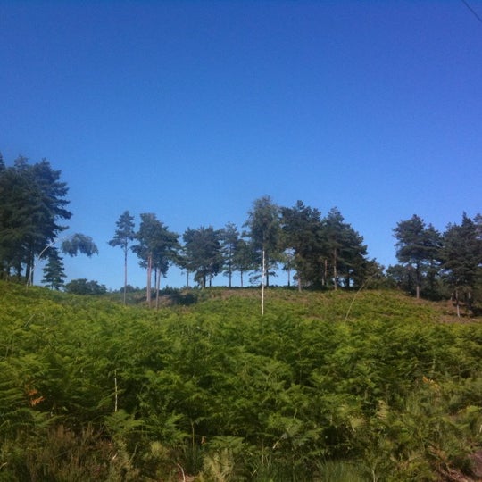 Army Training Centre Pirbright - Pirbright, Surrey