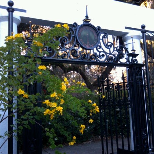 Forsyth Park Fragrant Garden - Historic District-South - 2 tips