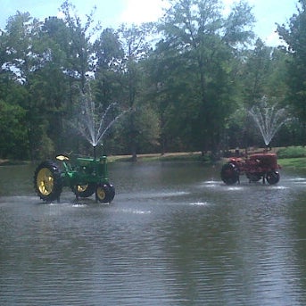Photos at Efurd's Peach Orchard - 3 tips from 90 visitors