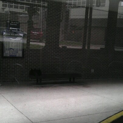 Hart Bus Stop Route 30 - tampa international airport - Tampa, FL
