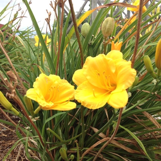 Conimicut Point Park - Conimicut - Warwick, RI