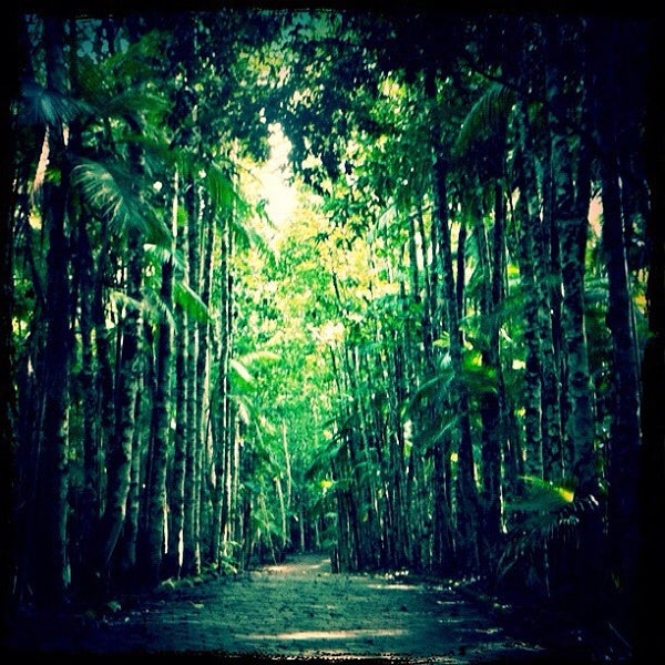 Parque Malwee - Park in Jaraguá do Sul
