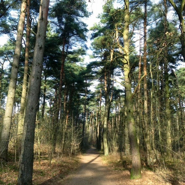 Brunssumerheide - 10 tips