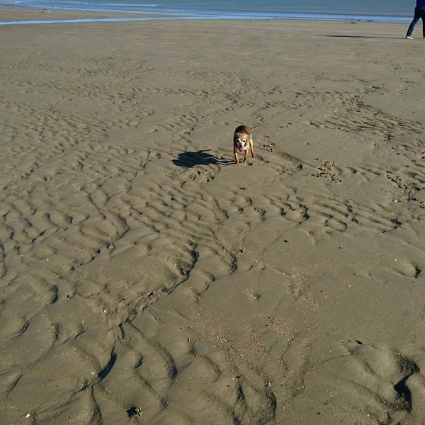 Rush North Beach - Beach