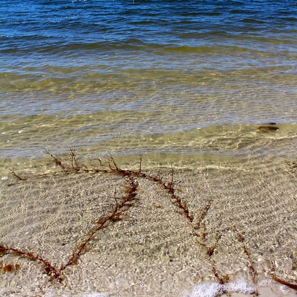 Little Lagoon - 6 tips from 127 visitors